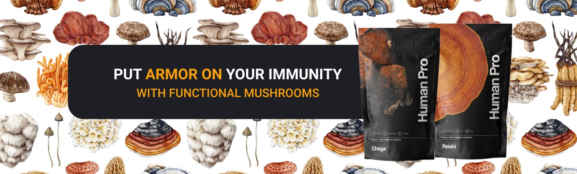 Collection | Human Pro